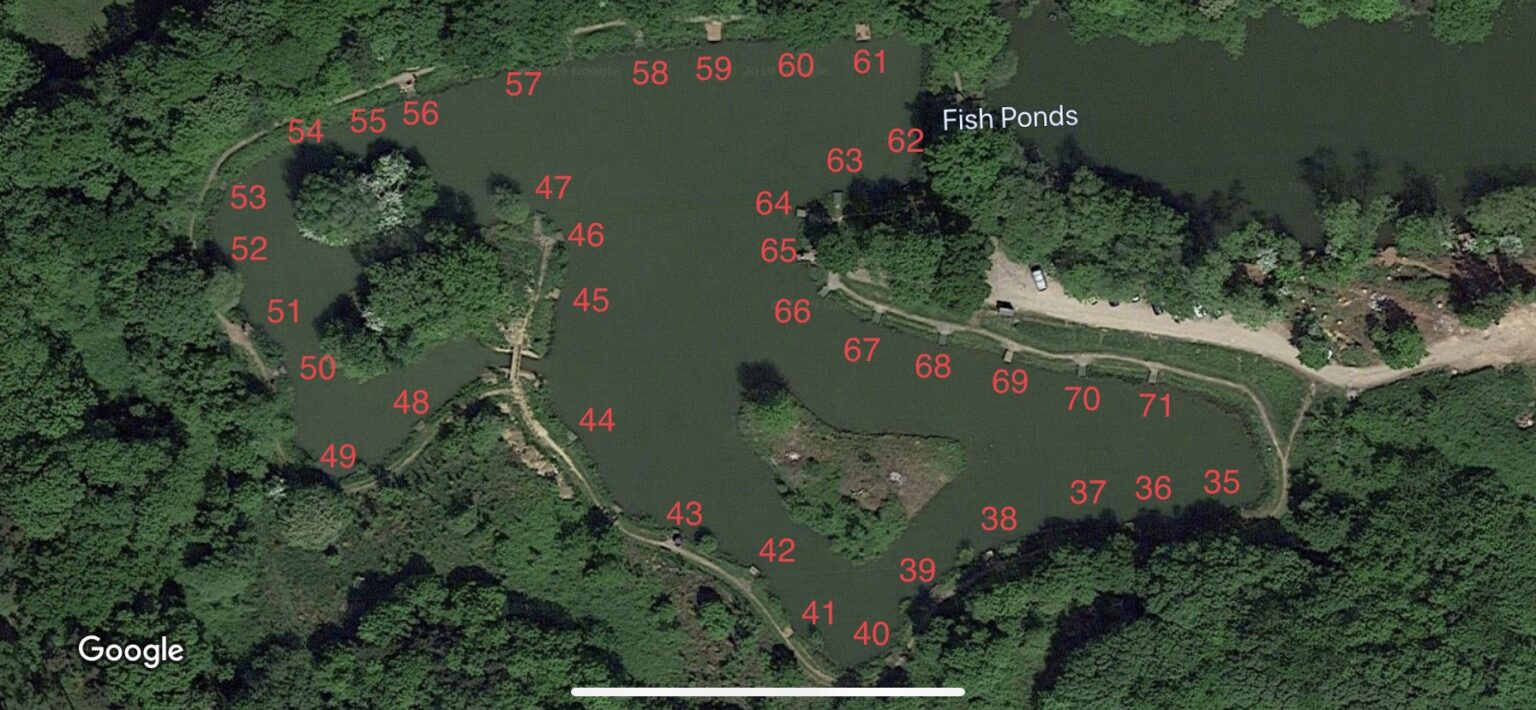 Withy Pool peg pictures - Bathampton Angling Association